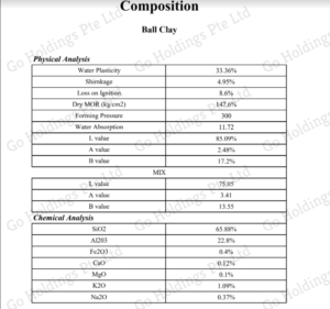 CLAY – Go Holdings Pte ltd
